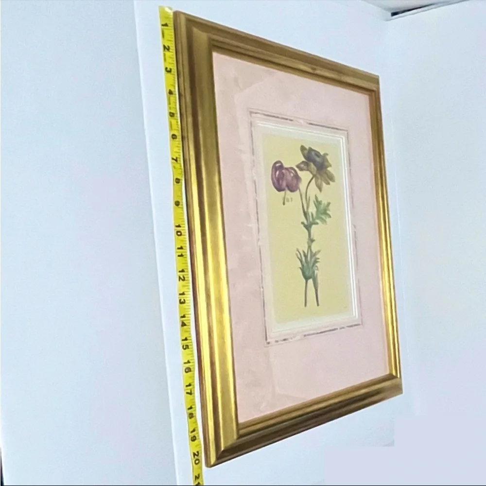 Vintage | Art | Vintage N Robert Artist Signed Botanical Art | Poshmark